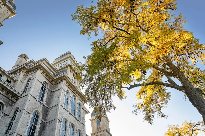 Leadership and Administration - Syracuse University